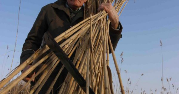 A Transboundary Biosphere Reserve for the benefit of nature and people ...